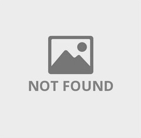 Univ. Prof. Dipl. Ing. Dr. med. Christoph Baumgartner | Experte Epilepsie